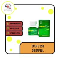Ever E 250 Harga Termurah - Kualitas Terbaik