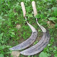 Jual Arit Sabit Rumput Baja Terbaik - Harga Murah Februari 2023 & Cicil 0%