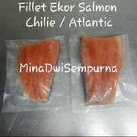 Jual Ikan Salmon Fillet Terdekat - Harga Murah & Grosir Februari 2024
