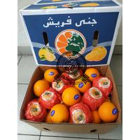 Jual Jeruk 1 Dus Murah - Harga Terbaru 2024