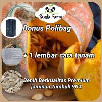 Jual Labu Kuning Terbaik - Harga Murah Mei 2024 & Cicil 0%