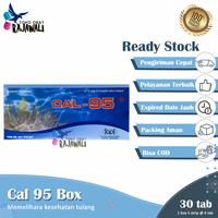 Jual Vitamin Cal 95 Murah - Harga Terbaru Juni 2024