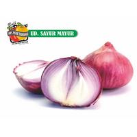 Toko UD Sayur Mayur Bali Online - Produk Lengkap & Harga Terbaik ...