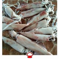Jual Cumi Segar 1 Kg Terdekat - Harga Murah & Grosir Januari 2023