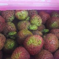 Buah Leci Segar Terbaik & Terbaru Desember 2022 - Harga Murah