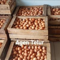 Jual Agen Telur Terdekat - Harga Murah & Grosir Agustus 2025