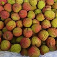 Buah Leci Segar Terbaik & Terbaru Oktober 2022 - Harga Murah