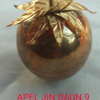 Jual Apel Jin Asli Terdekat - Harga Murah & Grosir Juni 2024