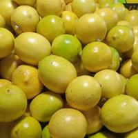 Jual Lemon 1 Kg Terdekat - Harga Murah & Grosir Januari 2025