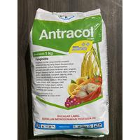 Jual Antracol 1 Kg Murah - Harga Terbaru 2024