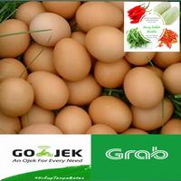 Jual Telor 1 Kg Terdekat - Harga Murah & Grosir Mei 2025