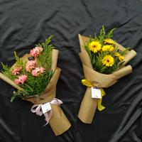 Jual Bunga Gerbera Terlengkap - Harga Murah & Grosir Mei 2024