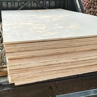 Jual Multiplex Terbaik - Harga Murah Maret 2025 & Cicil 0%