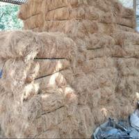 Jual Serabut Kelapa Terbaik - Harga Murah Januari 2024 & Cicil 0%