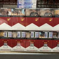 Jual Rokok Malboro Terdekat - Harga Murah & Grosir Juni 2024