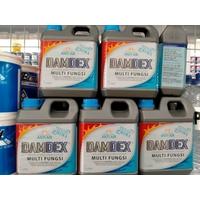 Jual Damdex Terbaik - Harga Murah Februari 2025 & Cicil 0%