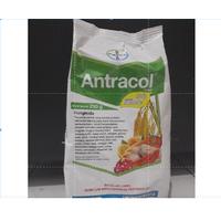 Fungisida Antracol Harga Terbaru - Pilihan Terlengkap
