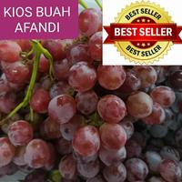 Jual Anggur Red Globe Terdekat - Harga Murah & Grosir Maret 2024
