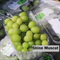 Jual Anggur Muscat Terdekat - Harga Murah & Grosir Juni 2024