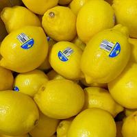Jual Lemon 1 Kg Terdekat - Harga Murah & Grosir Desember 2024