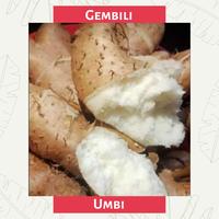 Gembili Harga Termurah - Pilihan Favorit