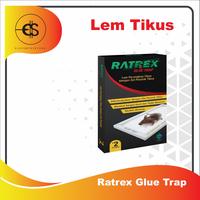 Perangkap Tikus Harga Terbaru - Pilihan Terlengkap