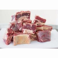 Jual Jando Sapi Terdekat - Harga Murah & Grosir Agustus 2025