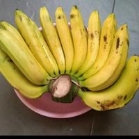 Pisang Ambon Segar & Manis, Harga Termurah! 2024