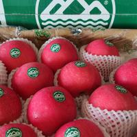 Jual Apel Fuji Wangshan Premium Murah - Harga Terbaru 2024