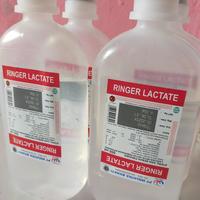 Jual Cairan Infus Rl Murah - Harga Terbaru Mei 2024