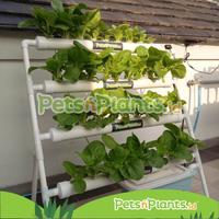 Jual Hidroponik Set Terbaik - Harga Murah Juni 2024 & Cicil 0%