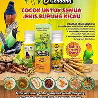 Jual Jamu Gendong Terdekat - Harga Murah & Grosir Januari 2024