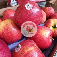 Jual Apel Envy Terdekat - Harga Murah & Grosir April 2024