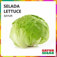 Selada Harga Termurah - Pilihan Favorit