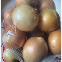 Jual Bombay 1 Kg Terdekat - Harga Murah & Grosir Mei 2024