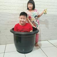 Jual Tanaman Hias Pot Besar Terbaik - Harga Murah Juni 2024 & Cicil 0%