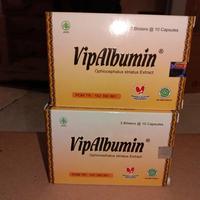 Jual Vipalbumin Kapsul Murah - Harga Terbaru Januari 2024