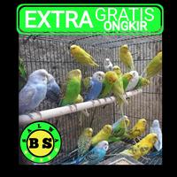 Jual Parkit Lokal Lengkap Harga Murah Oktober 2025