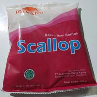 Jual Minaku Scallop Terdekat - Harga Murah & Grosir September 2022