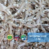 Jual Ebi Kering 1 Kg Terdekat - Harga Murah & Grosir Mei 2024