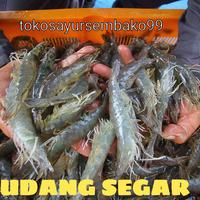 Review udang vaname / peci segar fresh surabaya - U.Super BESAR, 250 ...