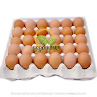 Jual 1 Butir Telur Terdekat - Harga Murah & Grosir Februari 2025
