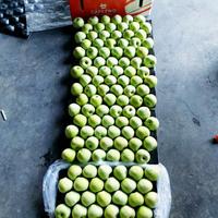 Jual Apel Hijau Terdekat - Harga Murah & Grosir April 2025