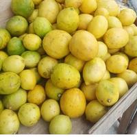 Jual Lemon 1 Kg Terdekat - Harga Murah & Grosir Desember 2024