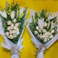 Jual Bunga Mawar Hidup Terlengkap - Harga Murah & Grosir Mei 2024