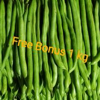 Jual Buncis 1 Kg Terdekat - Harga Murah & Grosir Maret 2025