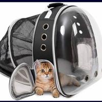 Jual Jaring Kucing Terlengkap & Terbaik - Harga Murah Mei 2024