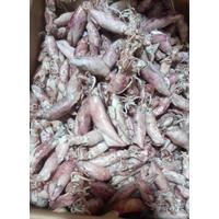 Jual Cumi Asin 1Kg Terdekat - Harga Murah & Grosir Juni 2024