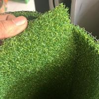 Jual Rumput Golf Terbaik - Harga Murah Juni 2024 & Cicil 0%