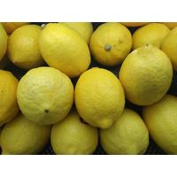 Jual Lemon Buah Terdekat - Harga Murah & Grosir Juni 2024